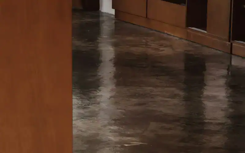 Hidden Signs and Dangers of a Possible Slab Leak | Leak Chasers